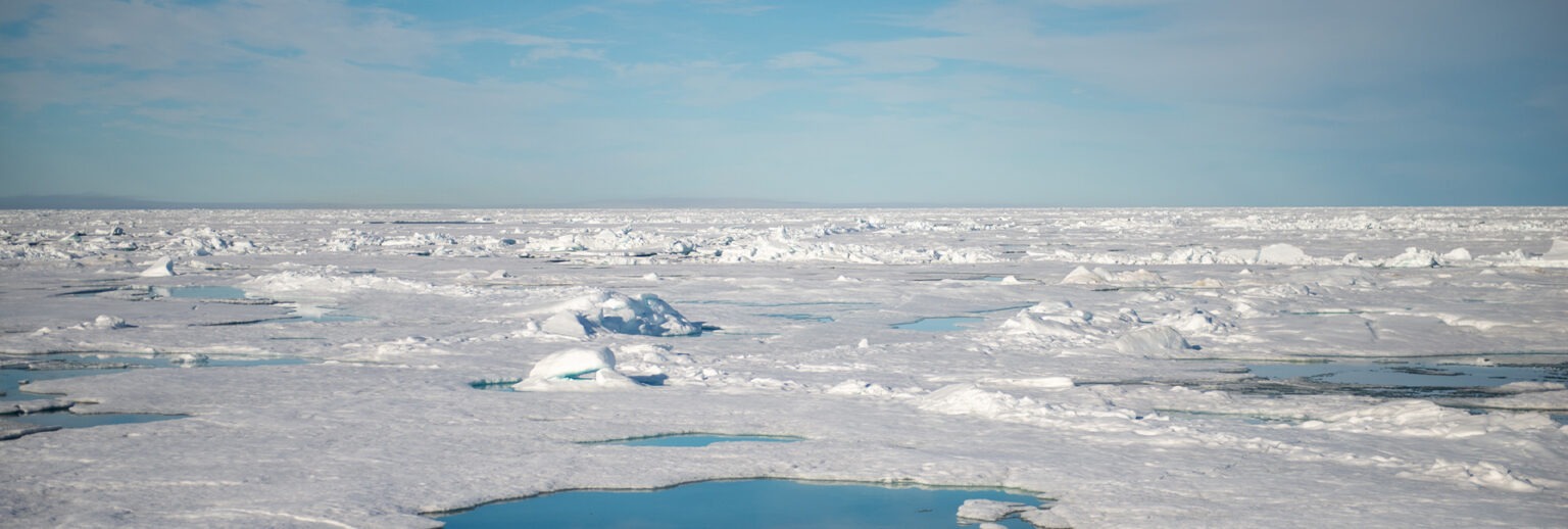 Sea-ice models