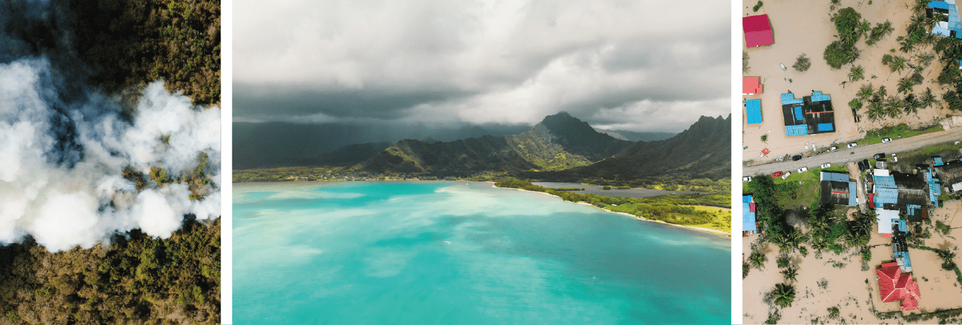 Data from trees and glaciers will shed light on climate variations in ...